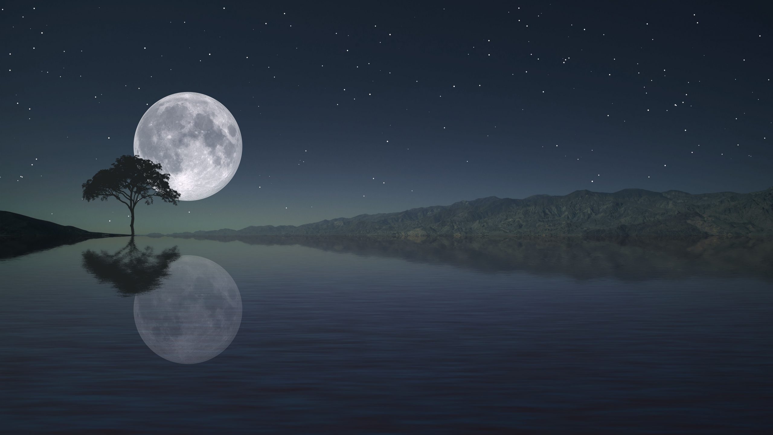 Mushin no Shin - Blog Centro Mushin